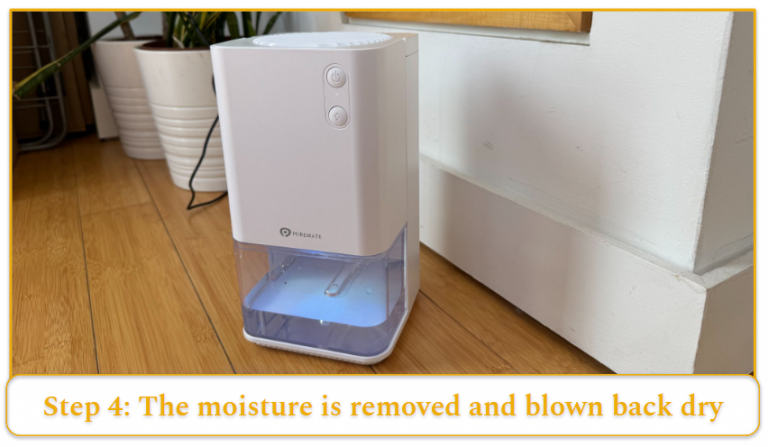 How Does a Dehumidifier Work (Complete Step by Step Guide)