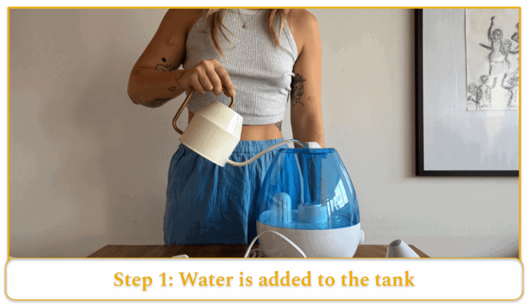 How Does a Humidifier Work: Full Guide & More