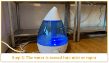How Does a Humidifier Work: Full Guide & More