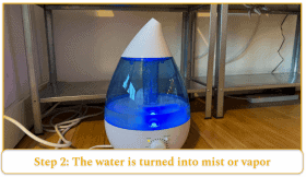How Does a Humidifier Work: Full Guide & More