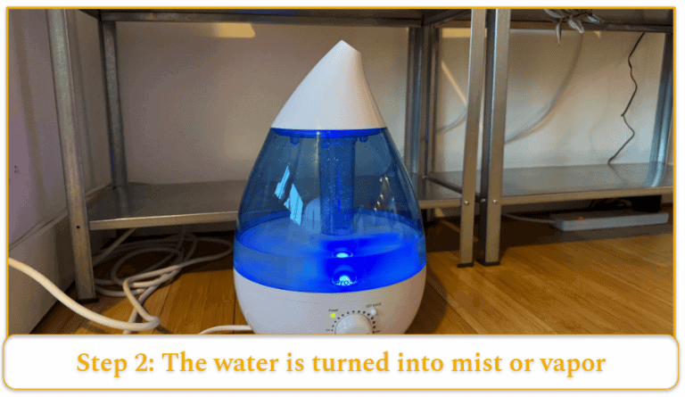 How Does a Humidifier Work: Full Guide & More
