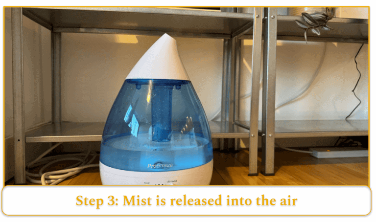 How Does a Humidifier Work: Full Guide & More