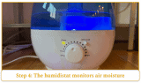 How Does a Humidifier Work: Full Guide & More
