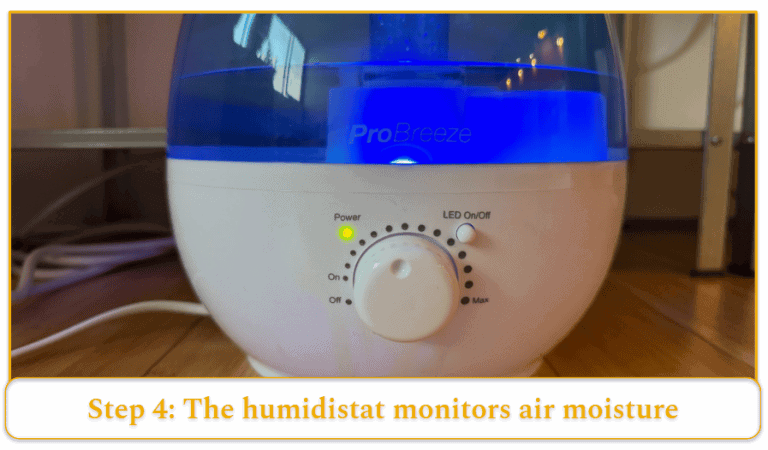 How Does a Humidifier Work: Full Guide & More
