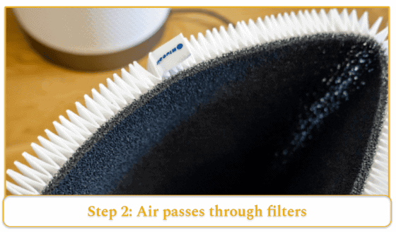 How Do Air Purifiers Work: Complete Guide